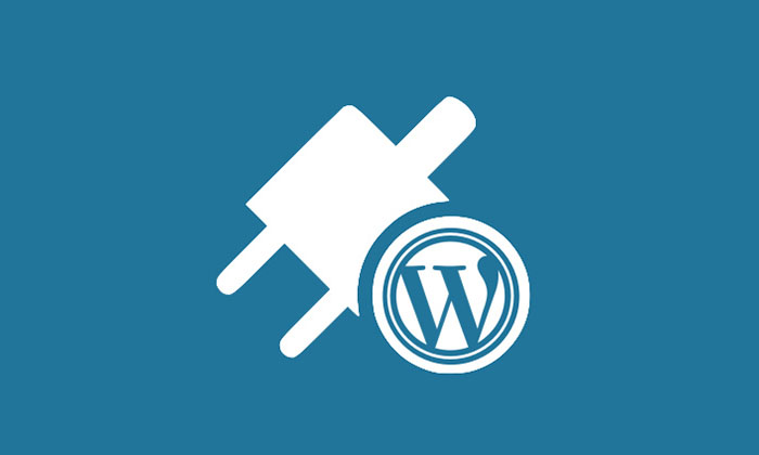 WordPress Payment Plugin Credit Card Processing And Merchant Account