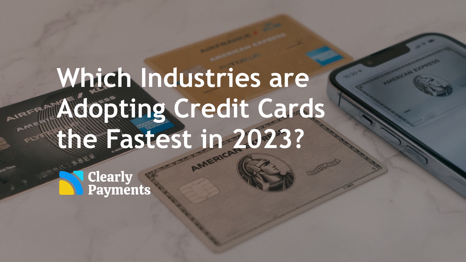 Which Industries are Adopting Credit Cards the Fastest in 2023? | Payments