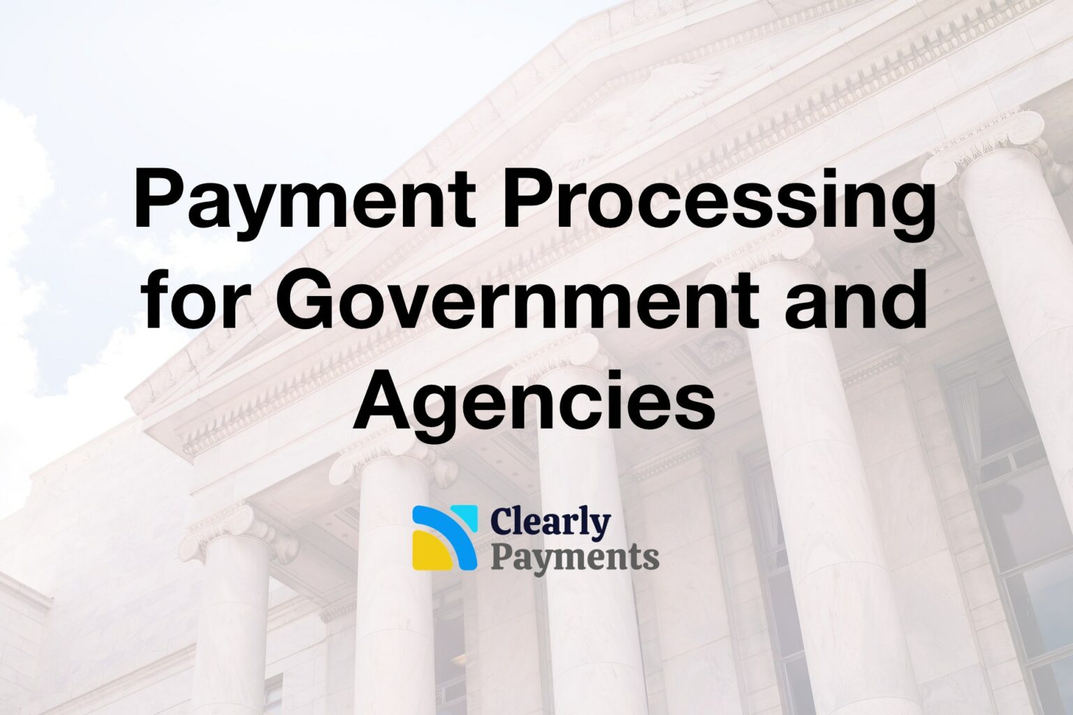 Payment Processing for Government and Agencies