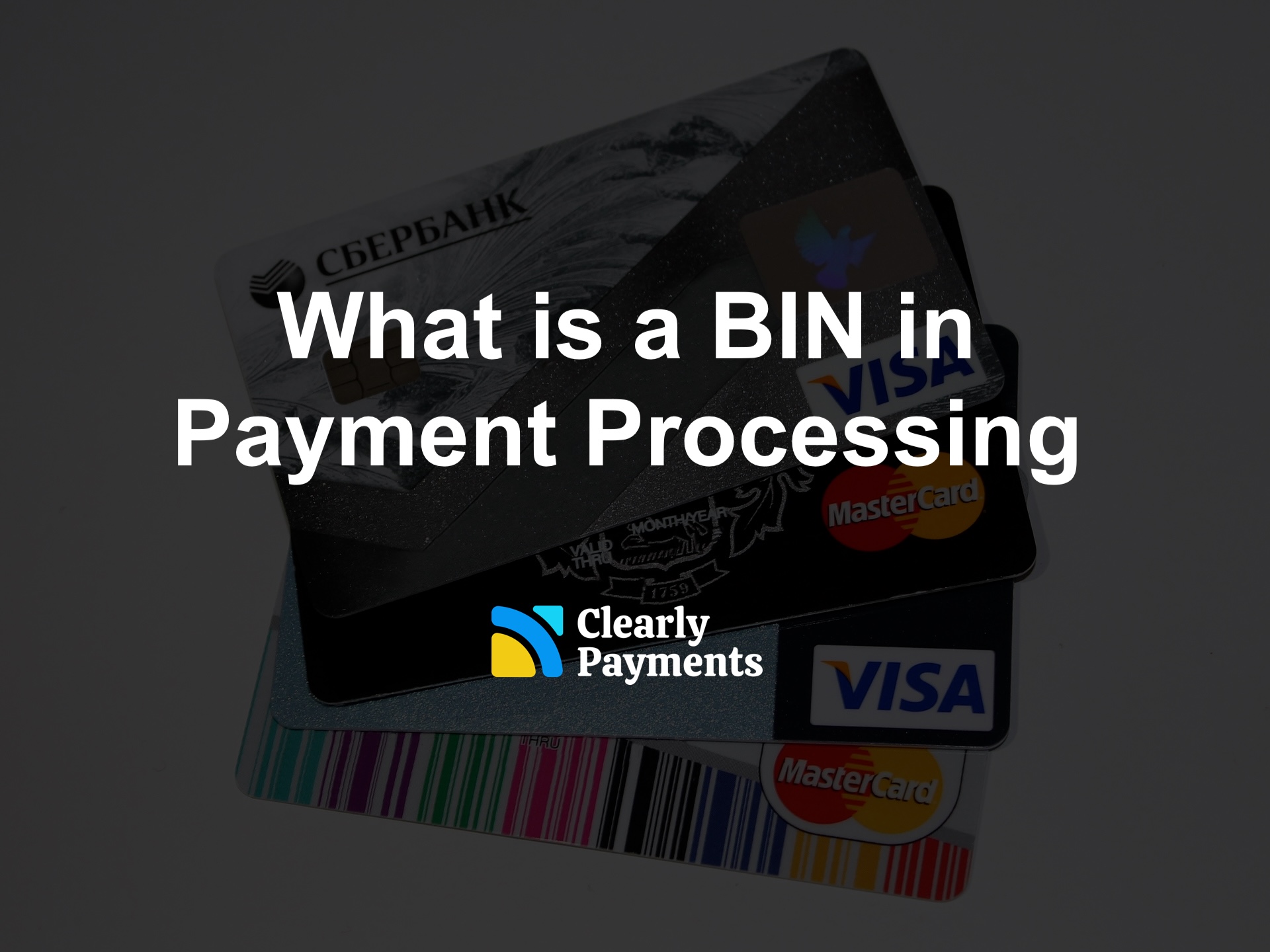What is a BIN in Payment Processing